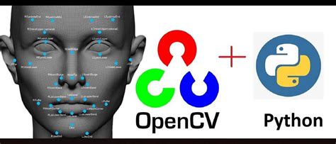 How To Resize Images Using Python Opencv By Devanshi Patel Codex