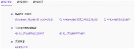 玄铁risc V处理器入门与实战 平头哥risc V 工具链 剑池cdk开发工具课程学习 阿里云开发者社区