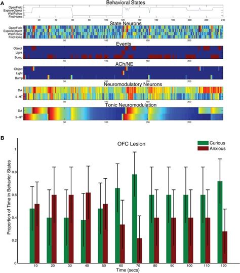 Behavioral And Neural Responses With Lesion To Projection From Ofc To