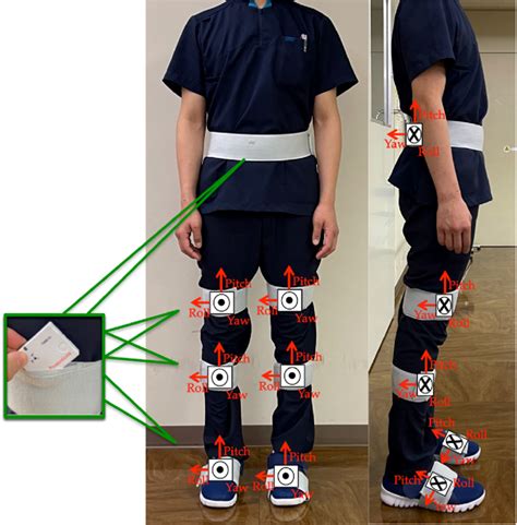 Sensor Placements Sensor Units Were Attached To Six Body Segments Of Download Scientific