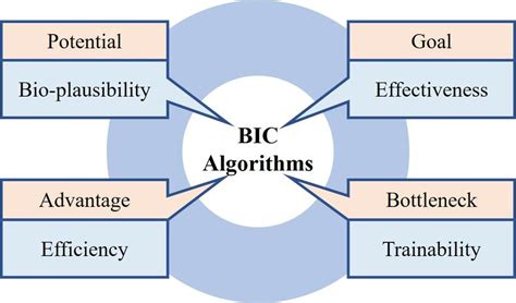 Key Considerations In The Development Of Bic Algorithms Four Download Scientific Diagram