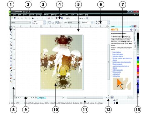 Application Window Coreldraw