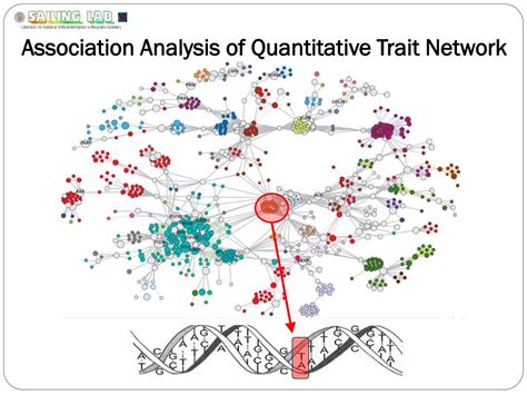 Ppt Associations To Quantitative Trait Network And Analysis Of Asthma