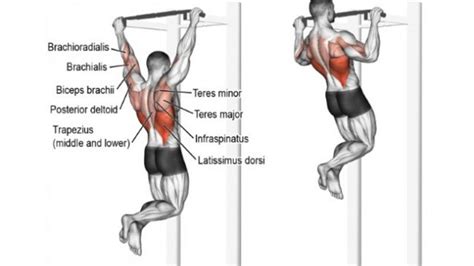 How To Get Faster Back Growth