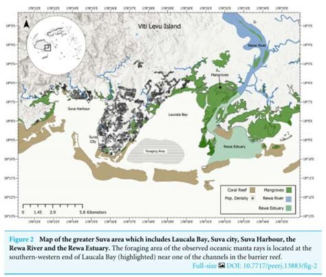 First Photographic Evidence Of Oceanic Manta Rays Mobula Birostris At Two Locations In Fiji