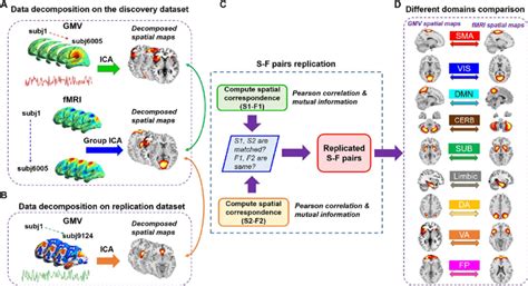 Schematic Of Preprocessing And Analyses Pipelines A Structural Data