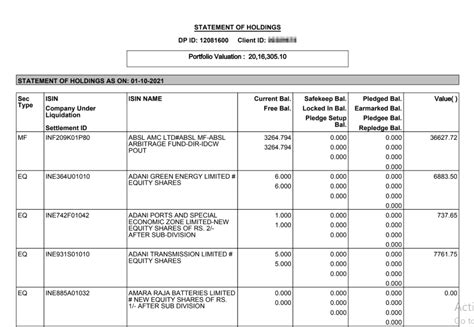 What Is The Statement Of Holdings Soh
