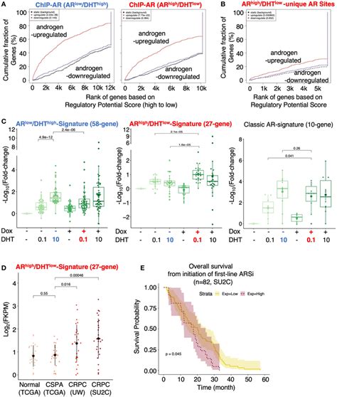 Identification Of Ar Direct Targets In Ar High Dht Low Cells A B Download Scientific