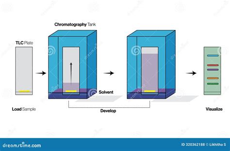 Detailed Vector Illustration Of Thin Layer Chromatography Technique On