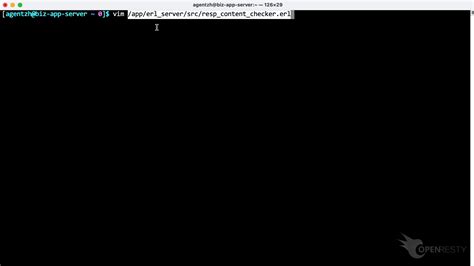 线上快速定位 CPU 最热的 Erlang 代码路径使用 OpenResty XRay OpenResty 官方博客