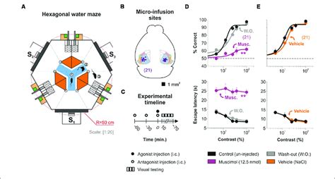 Characterizing Mouse Visual Cortex Dependent Choices With The