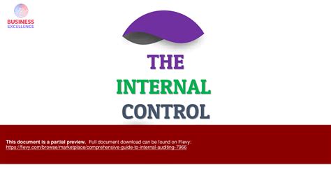 Comprehensive Guide To Internal Auditing Pdf