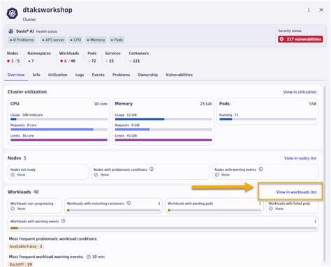 Azure Aks Levelup Workshop Lab Dynatrace Observability For Aks