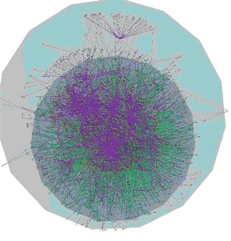 Visualisation Of The Two Overlapping Networks Representing A Gene