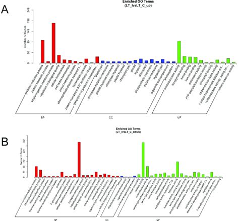 A Go Annotation Of Upregulated Genes Between The Sample Lt1 Vs Ltc