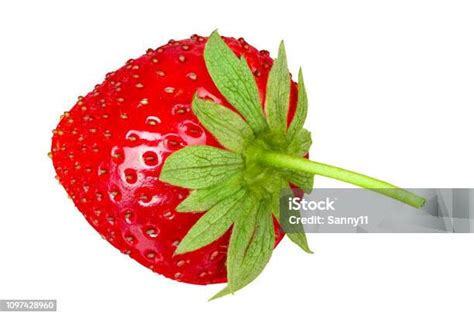 잘 익은 딸기 흰색 배경에 고립 텍스트를 위한 공간입니다 0명에 대한 스톡 사진 및 기타 이미지 0명 3가지 개체 개체 그룹 Istock