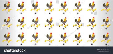 hen walk cycle animation sequence loop stock vector royalty free