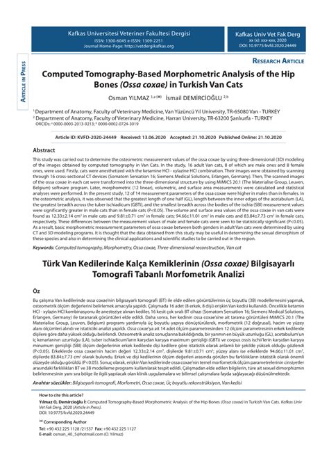 Pdf Computed Tomography Based Morphometric Analysis Of The Hip Bones Ossa Coxae In Turkish