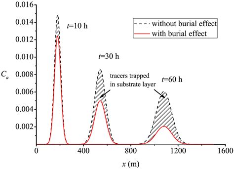 Spatial Distribution Of The Active‐layer Tracer Concentration Ca At