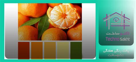 پالت رنگی هفتگی تکنوساخت دایرکتوری صنعت ساختمان