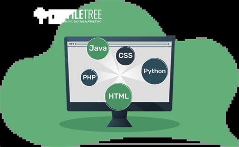 2024 Best Programming Languages For Web Development Profiletree