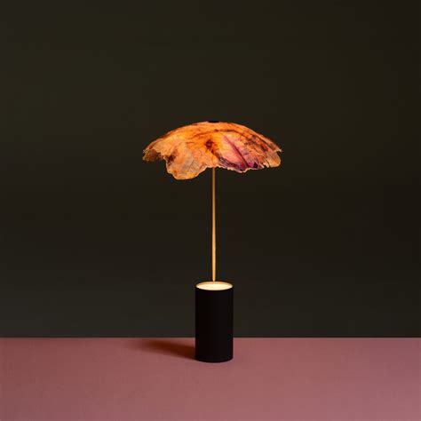 Desert Storm By Nir Meiri Dezeen