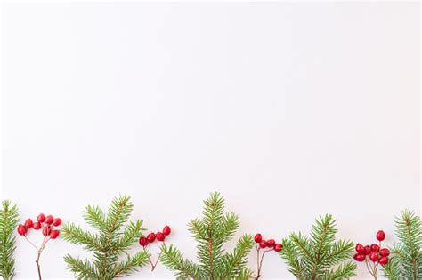 흰색 배경에 상록 나무 가지와 열매와 플랫 누워 크리스마스 테두리 0명에 대한 스톡 사진 및 기타 이미지 0명 12월 가문비나무 Istock