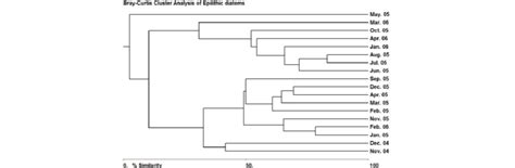 Dendrograms for hierarchical clustering of the months in Yedikır Dam