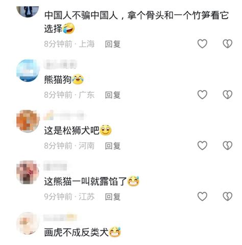 笑疯了江苏泰州动物园用狗冒充熊猫网友怎么狗里狗气的 讲白搭 台州19楼