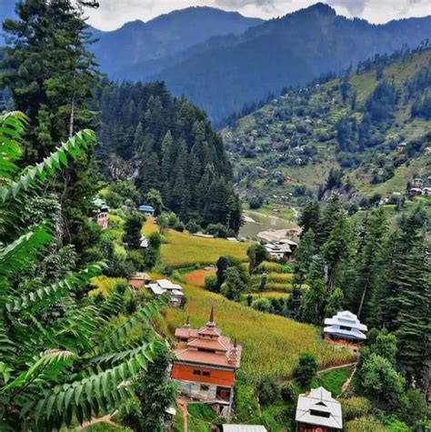 جعفر خان Siegen