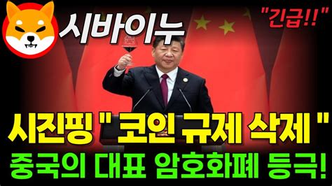 시바이누코인 긴급 시진핑 코인 규제삭제 시바이누 중국 대표 암호화폐 등극한다 대호재 떴습니다 Youtube