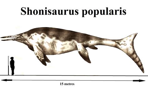Shonisaurus