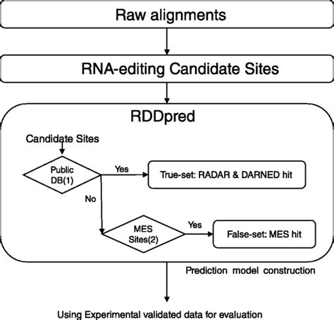 Rddpred A Condition Specific Rna Editing Prediction Model From Rna Seq Data Rna Seq Blog
