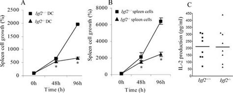 Dendritic Cell Differentiation And Immune Tolerance To Insulin Related