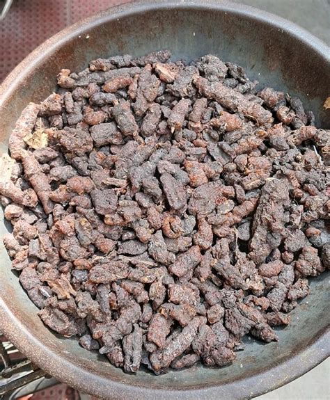 Shellac Lac Bug Latest Price Manufacturers And Suppliers