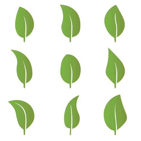 Eco Green Color Leaf Vector Logo Flat Icon Set Isolated Leaves Shapes