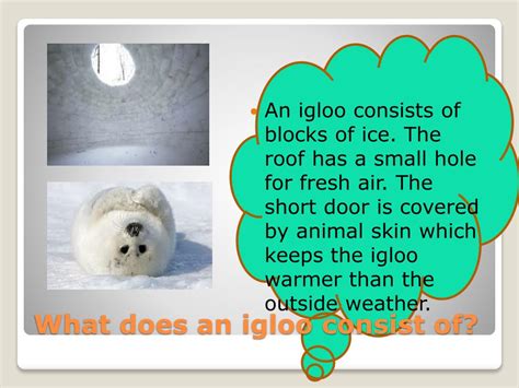 PPT What Is An Igloo PowerPoint Presentation Free Download ID