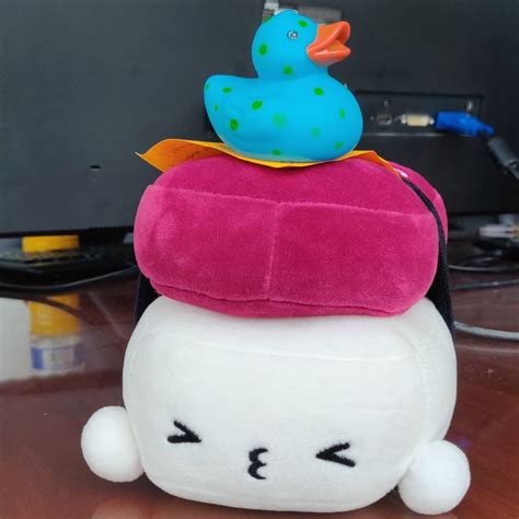 Day Learningfuze Coding And Data Science Bootcamp