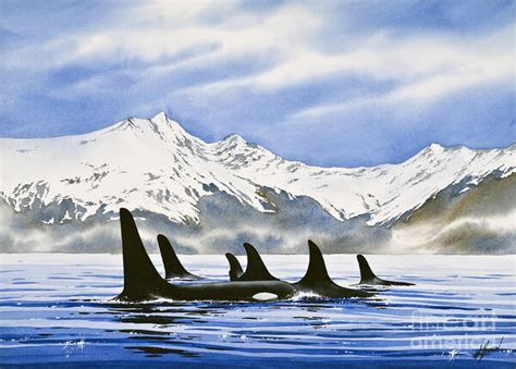 James Williamson Art Prints