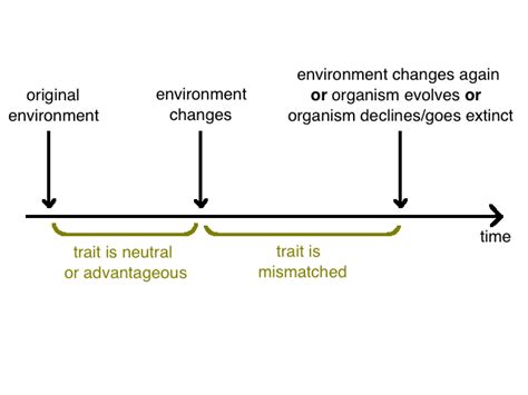 63 Evolutionary Mismatch Introduction To Evolution And Human Behavior