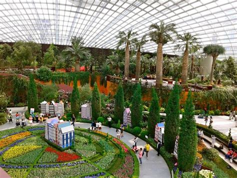 Borealis Special Show Bei Den Supertrees Gardens By The Bay Singapur