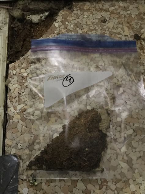 What Method Is Used To Detect Asbestos 5 Microns Inc
