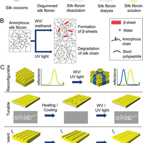 A Fabrication Schematic Of Polystyrene Sphere Multilayer Templates On