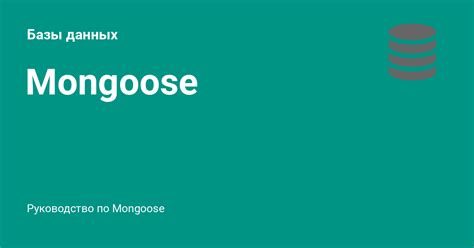 Mongoose ⚡️ Базы данных