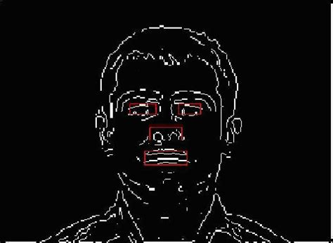 After Feature Extraction Download Scientific Diagram