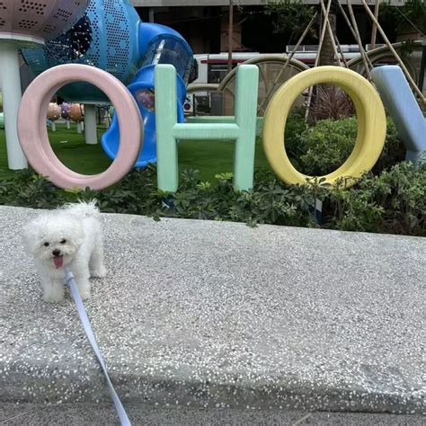 Junekan June Kan • Threads Say More