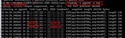Ipsec Site To Site Vpn Not Routing Traffic R Pfsense
