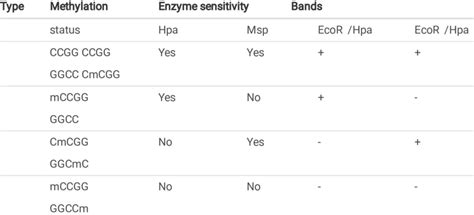 Different Methylation Patterns And Enzyme Digestion Results Download