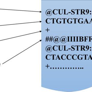 A New Efficient Referential Genome Compression Technique For FastQ Files