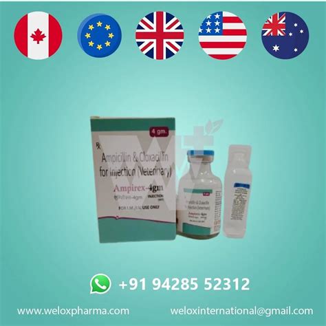 Ampirex Ampicillin Cloxacillin Injection At Rs 233piece India Surat Id 2854225671362